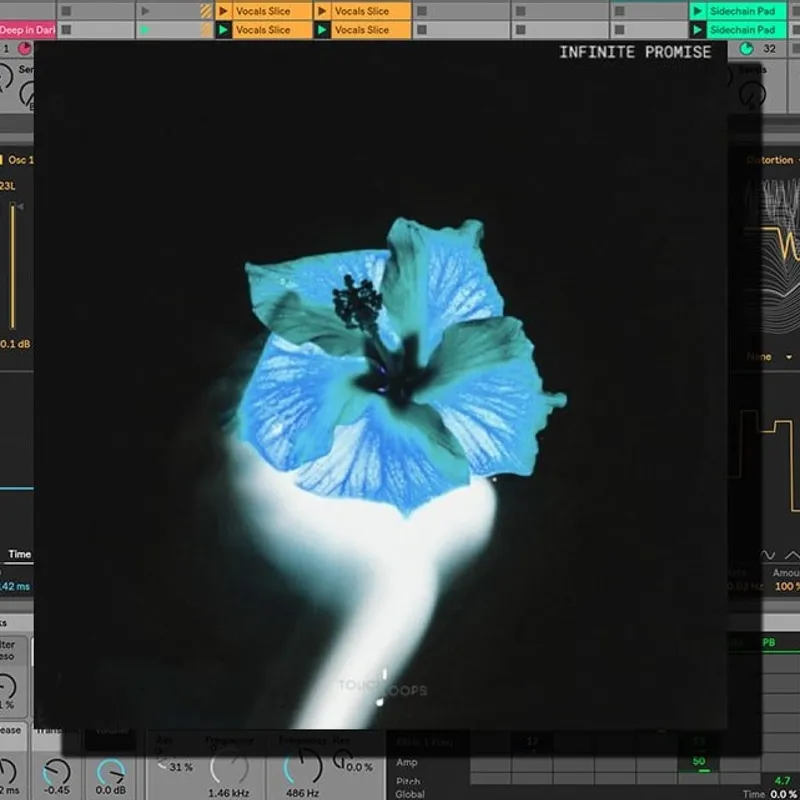 SamplezPack - Royalty Free Sample Packs